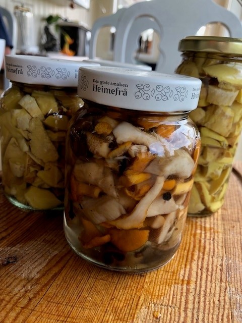 Selvplukket sopp som mat-gave på institusjoner – Matgledekorpset