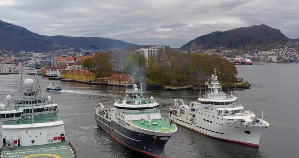 Redder liv i havet: Stem på Jomopans i REGIOSTARS-finalen - Interreg.no