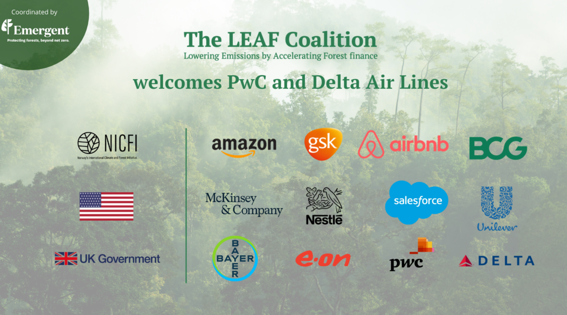 LEAF Coalition strengthened ahead of Glasgow climate summit – Norway's International Climate and ...