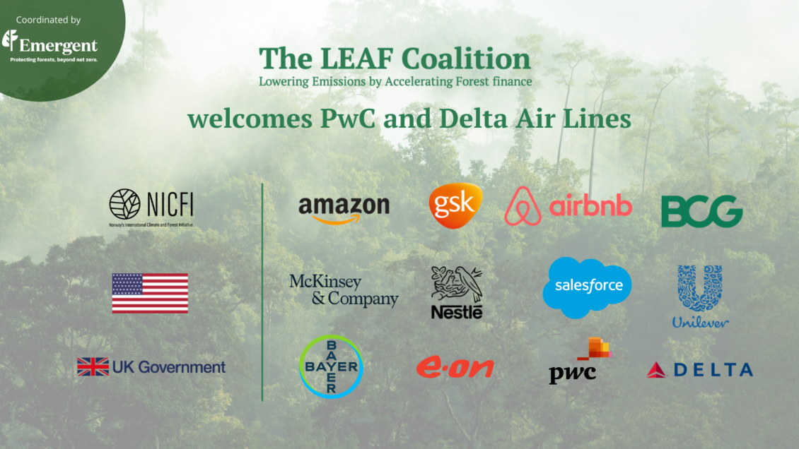 LEAF Coalition strengthened ahead of Glasgow climate summit – Norway's ...