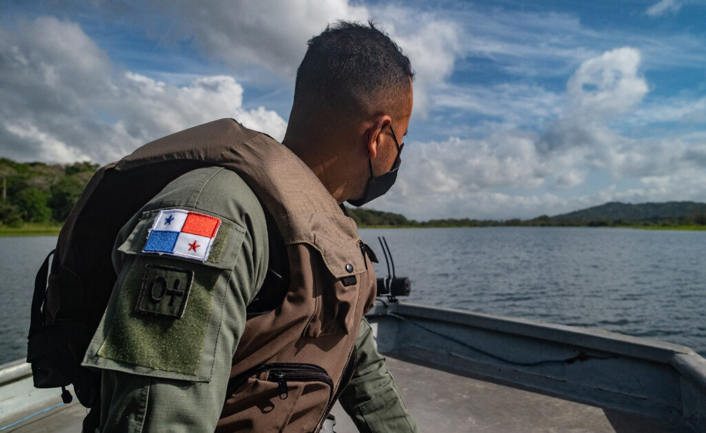 Massive operation uncovers timber trafficking network – Norway's ...