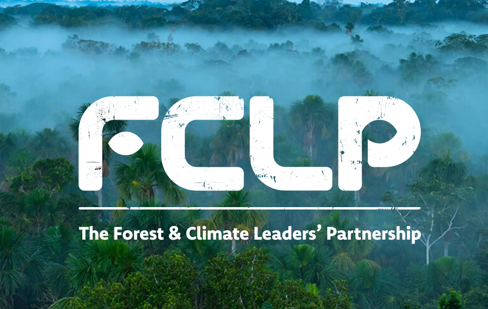 Leaders will build on Glasgow legacy to establish Forests & Climate ...