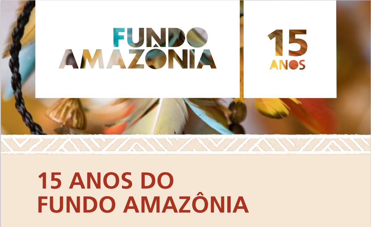 Celebration: 15 years of the Amazon Fund – Norway's International ...