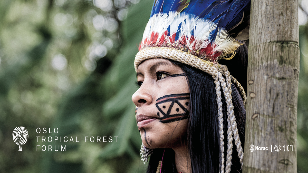 Ready for the Oslo Tropical Forest Forum? – Norway's International ...
