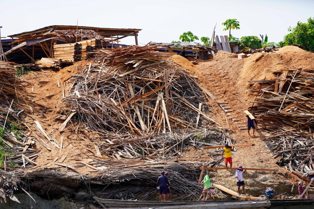 International Forest Crime – Norway's International Climate and Forest ...