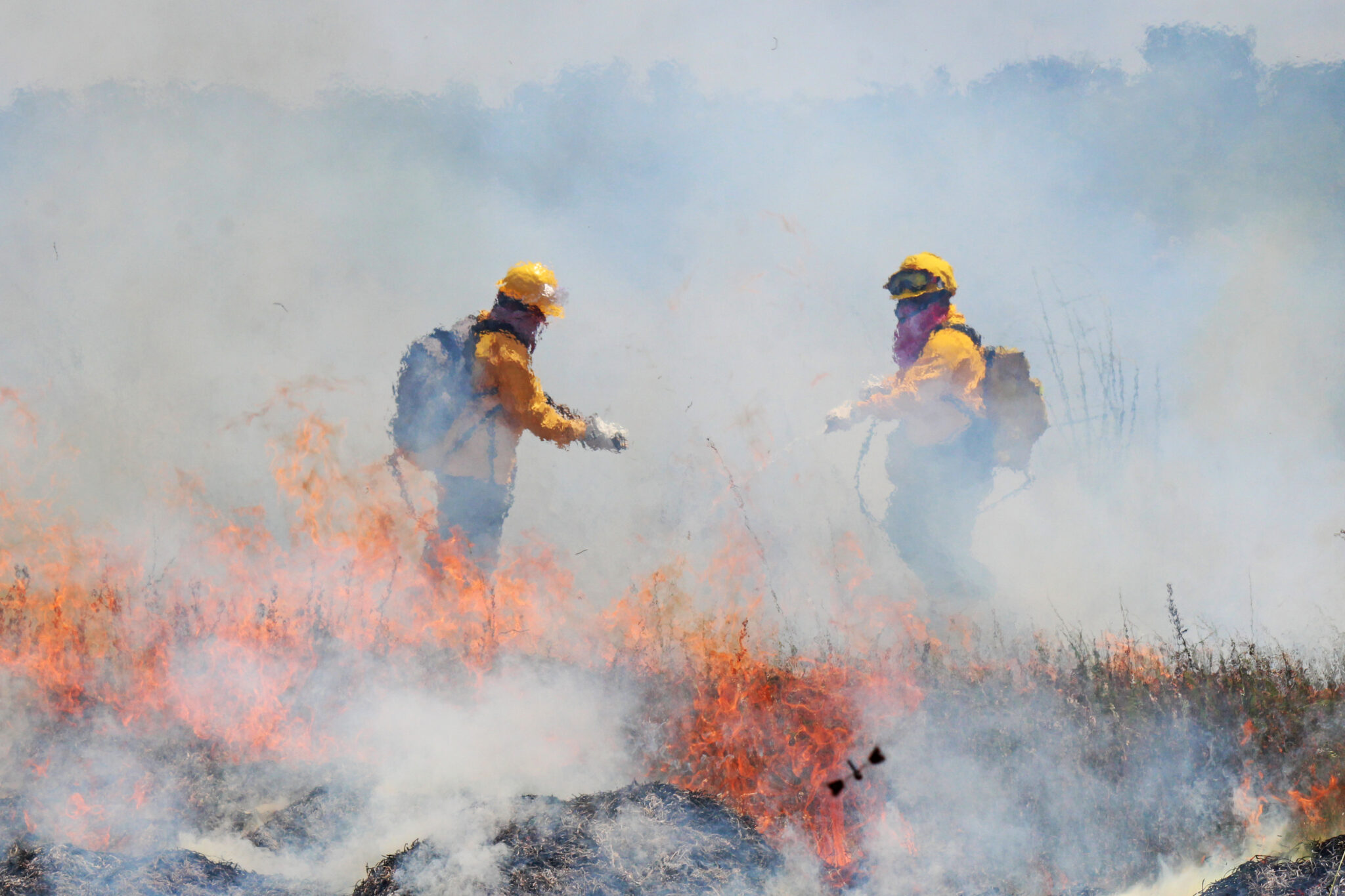 Pronatura_fires – Norway's International Climate and Forest Initiative