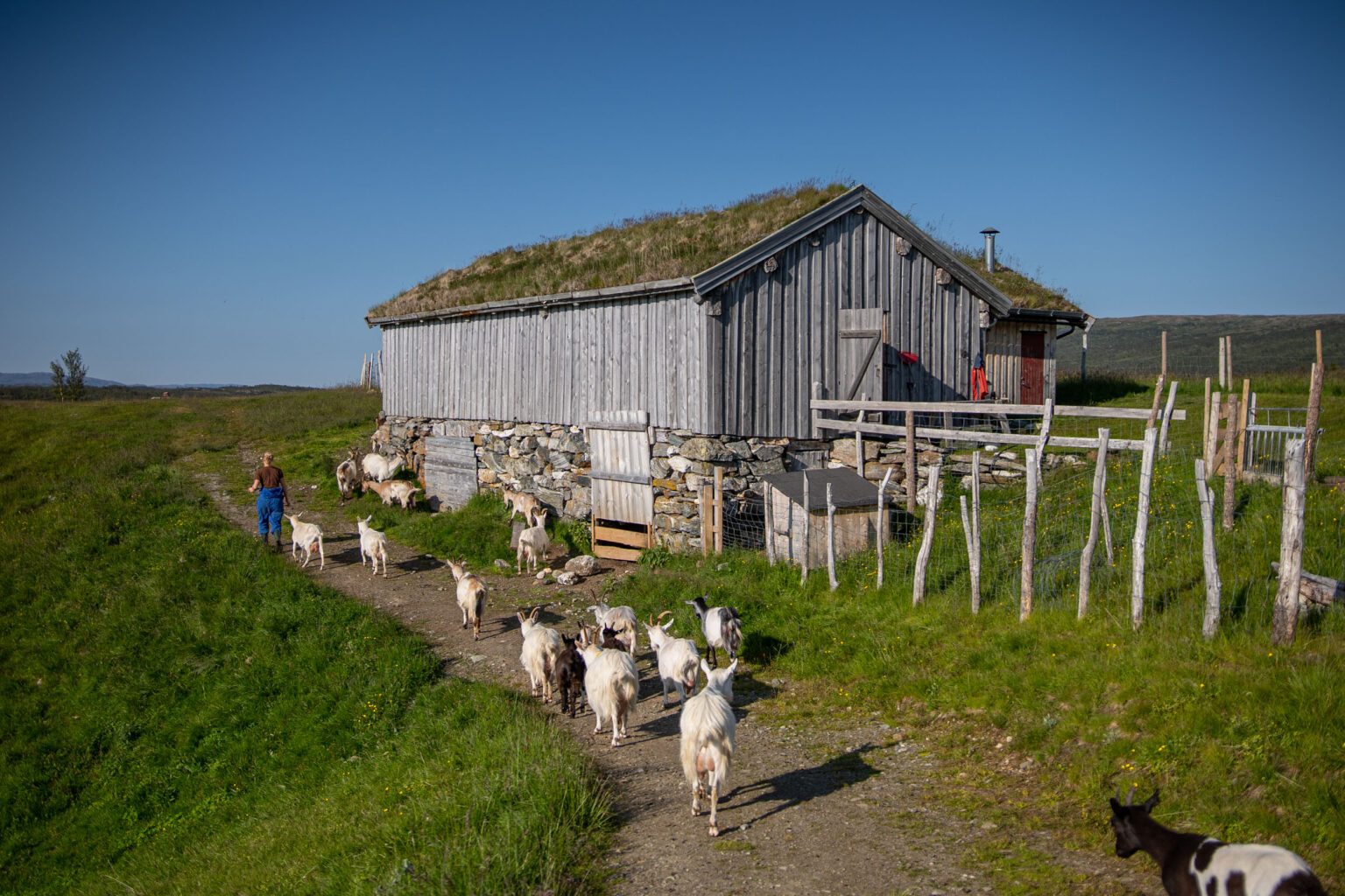 Norsk seterkultur inn på UNESCO-listen over immateriell kulturarv – UNESCO