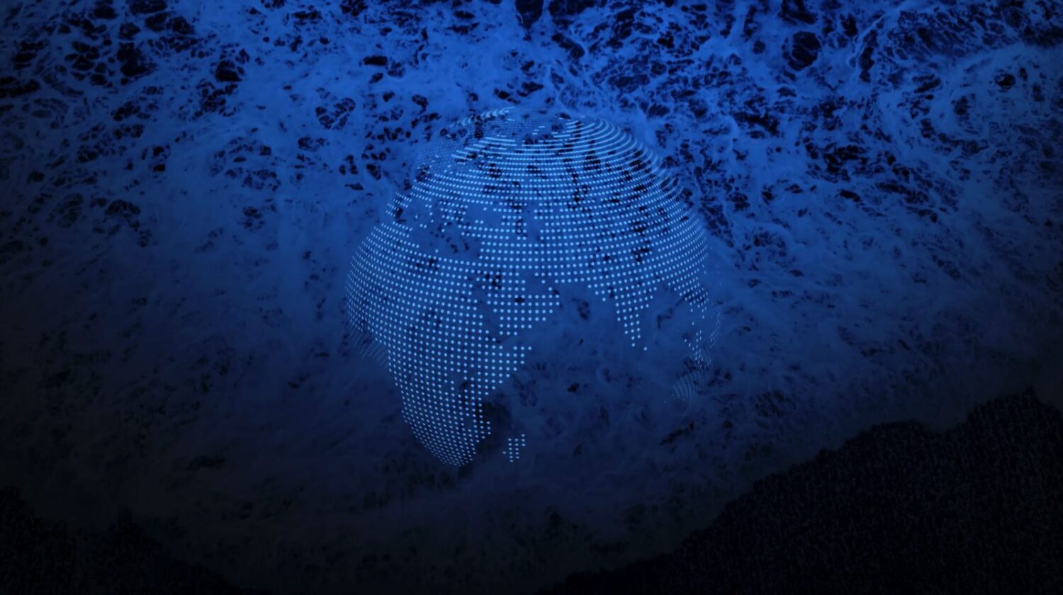 What we do – Blue Justice