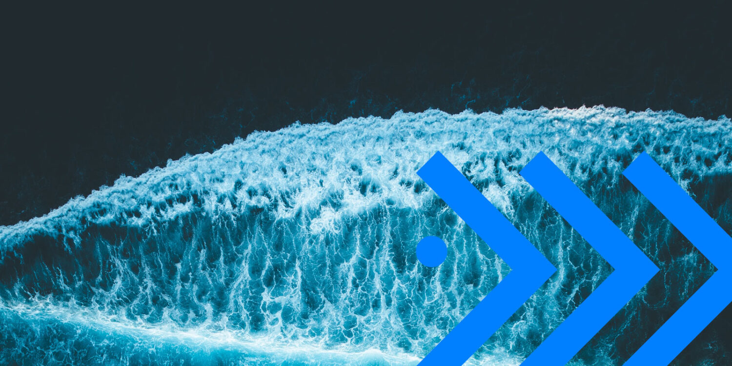 Partners – Blue Justice