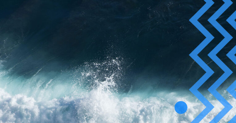 Blue Justice Initiative – Blue Justice