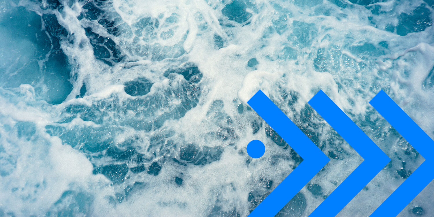 What we do – Blue Justice