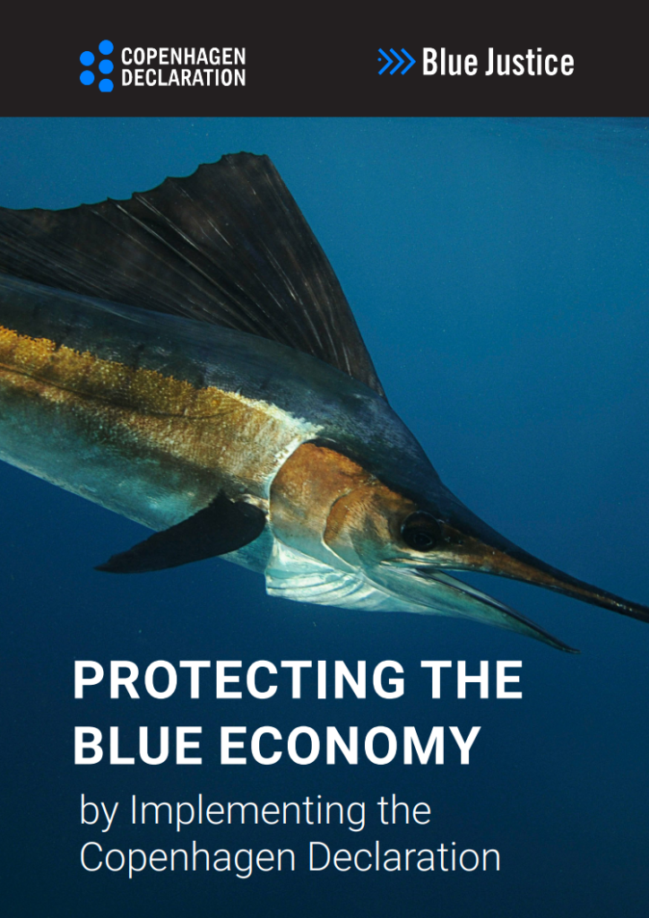 Reports – Blue Justice