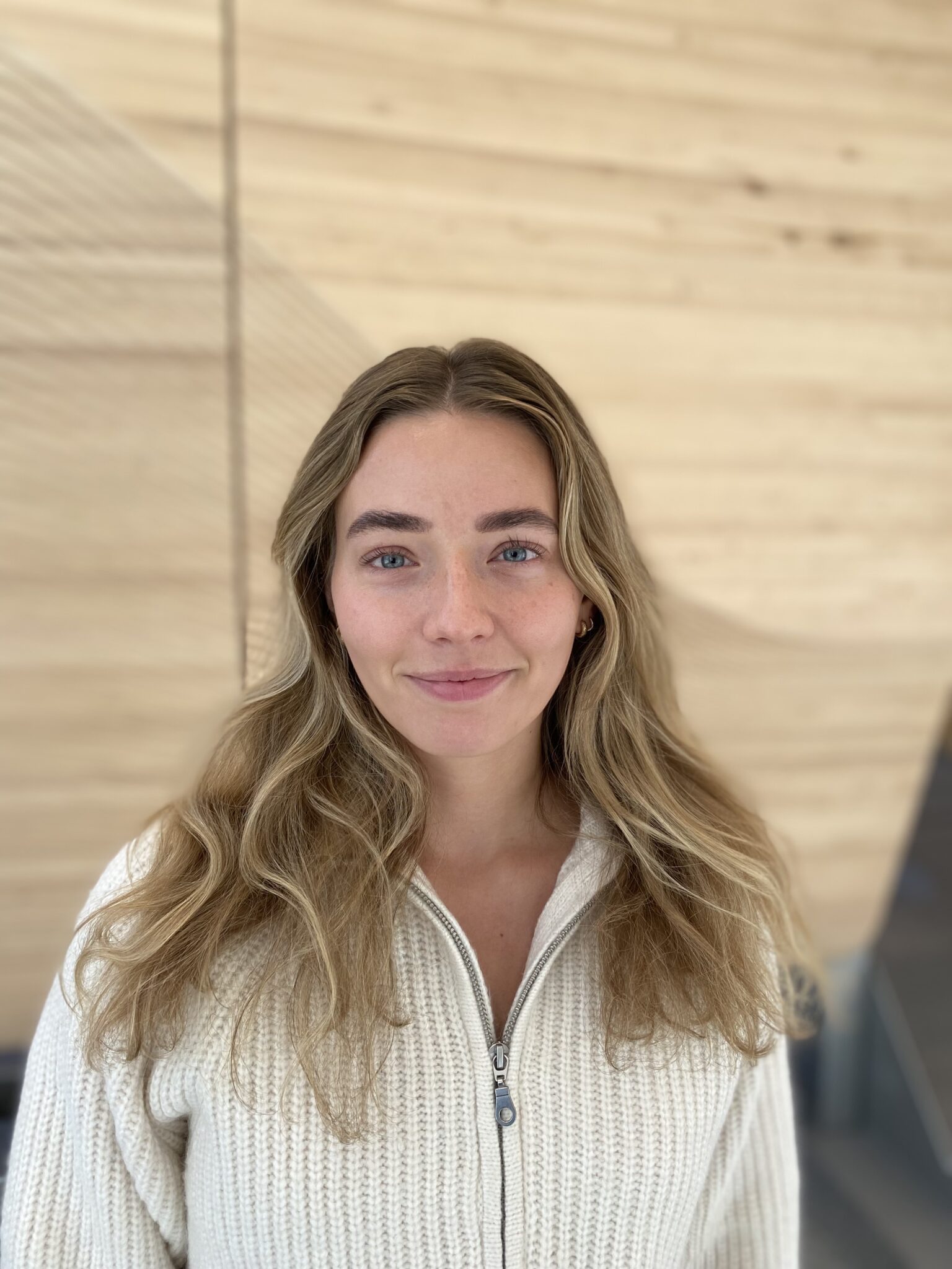 Medlemmer – Ekspertgruppe om tiltak mot alvorlig kriminalitet blant ...