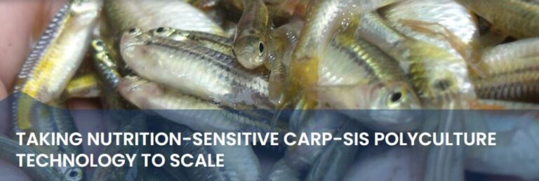 WorldFish Promoting Nutrition-Sensitive Aquaculture in India through ...