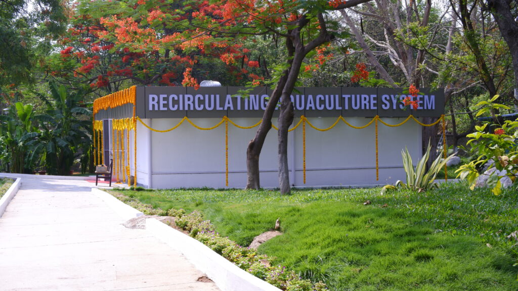 Low-Cost Airlift-Based Recirculating Aquaculture System (RAS ...
